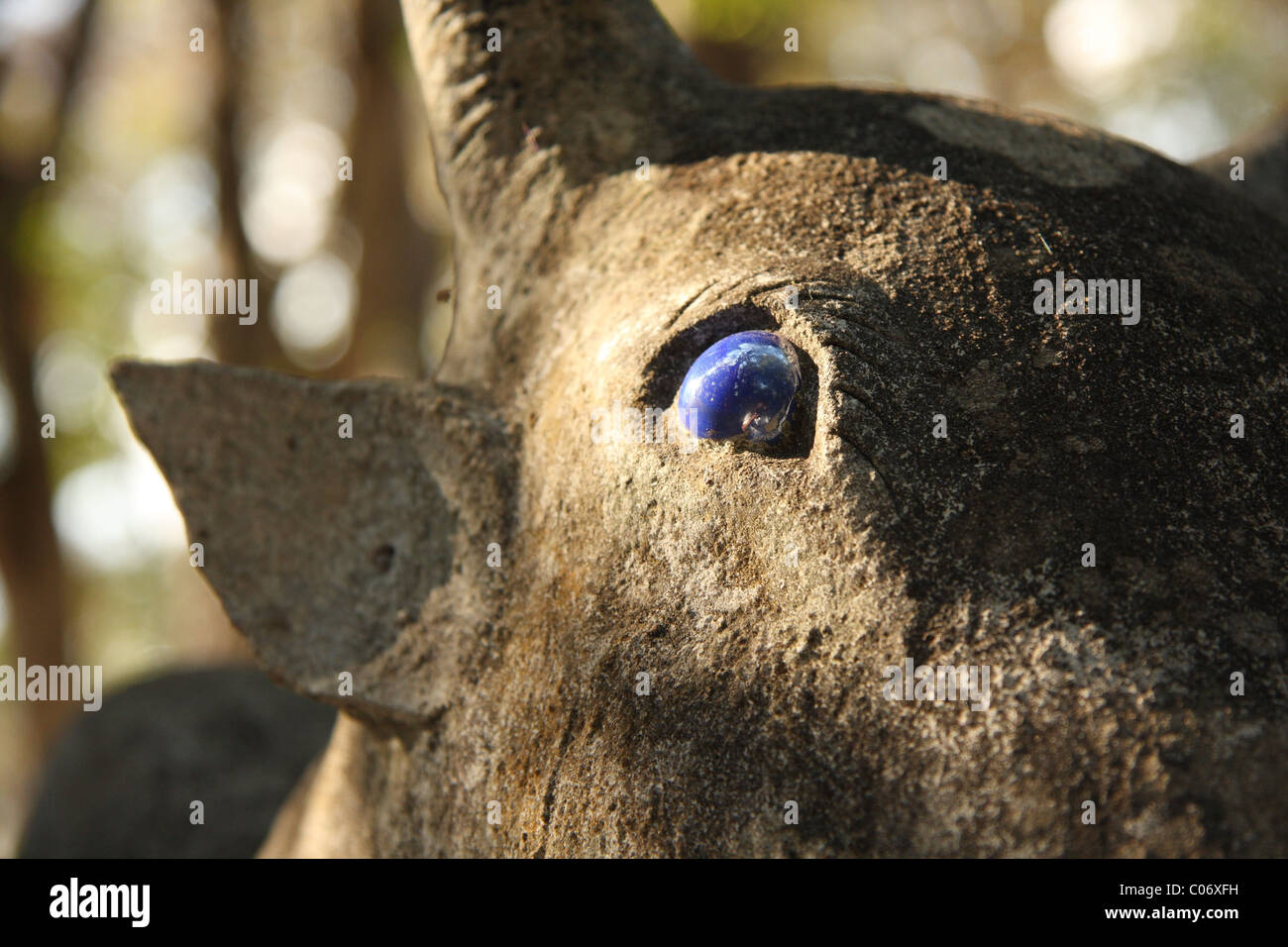 The eye of the bull Stock Photo - Alamy