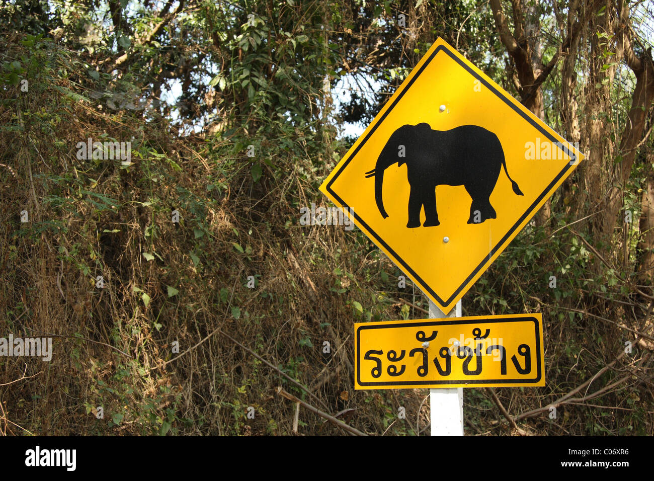 Signboard markings hi-res stock photography and images - Alamy