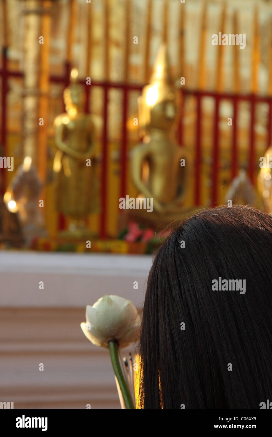 Prayer to Buddha Stock Photo - Alamy