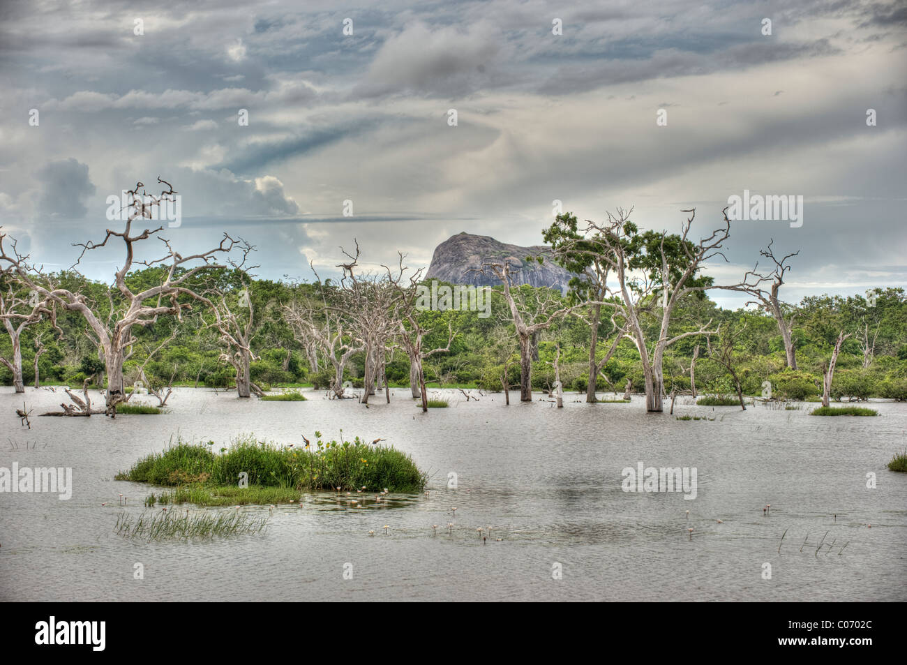 Yala lake, Yala National Park Sri Lanka Stock Photo - Alamy