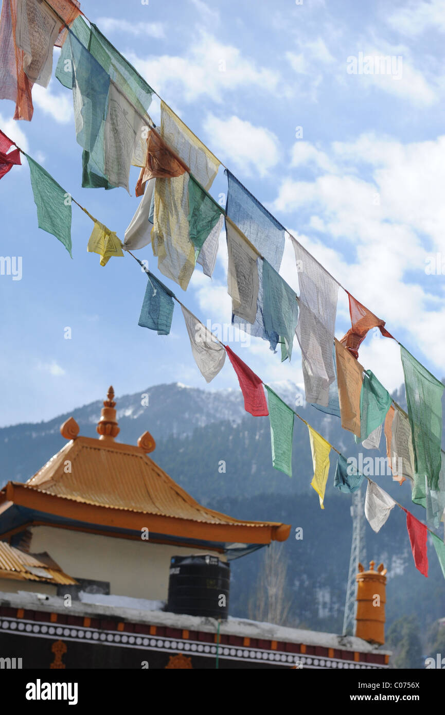 Prayer Flags hung by Templs in Manali India Stock Photo - Alamy
