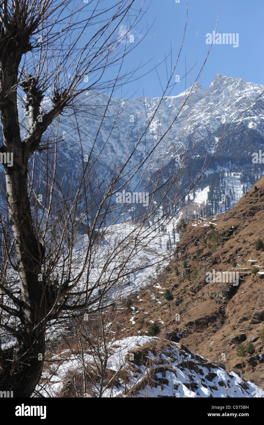 Snow Mountains in Manali , India Stock Photo - Alamy