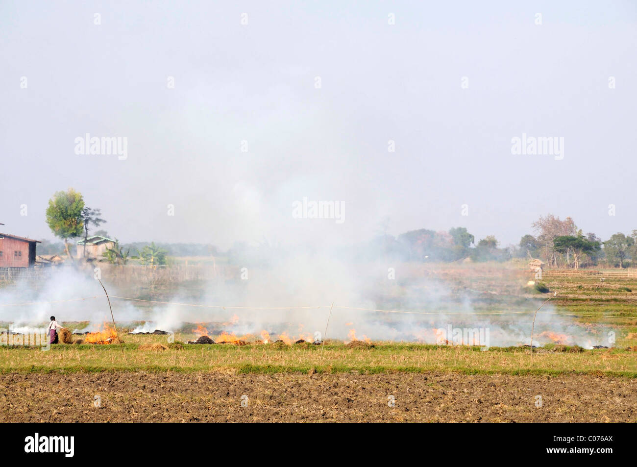 Slash And Burn Stock Photos & Slash And Burn Stock Images - Alamy