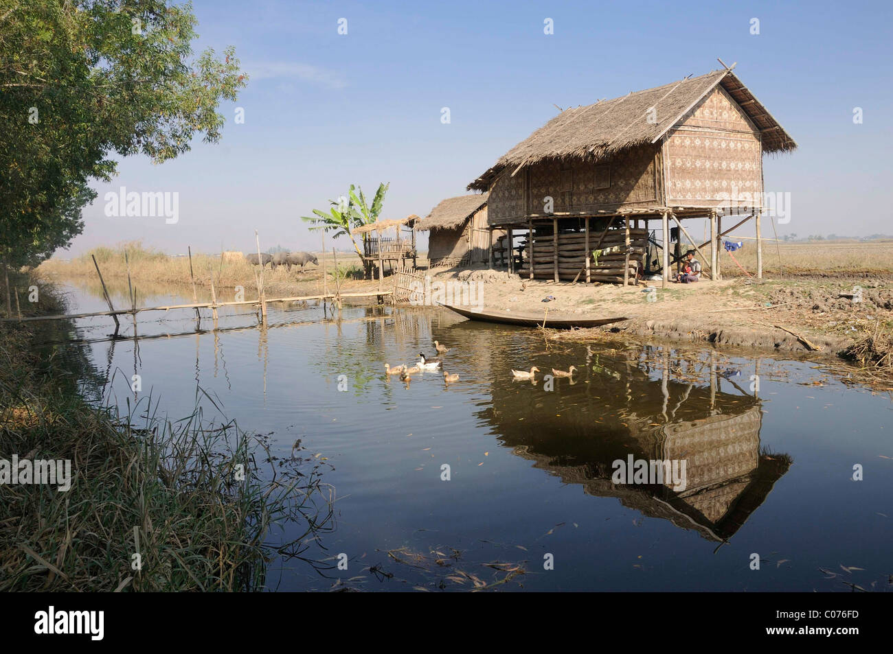 Farm house on stilts, Nyaung Shwe, Inle Lake, Shan State, Myanmar ...