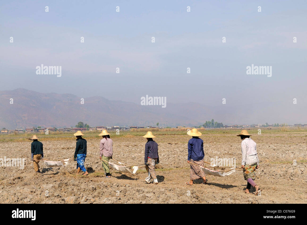 Female field workers loaded clods of earth on basic handbarrows with ...