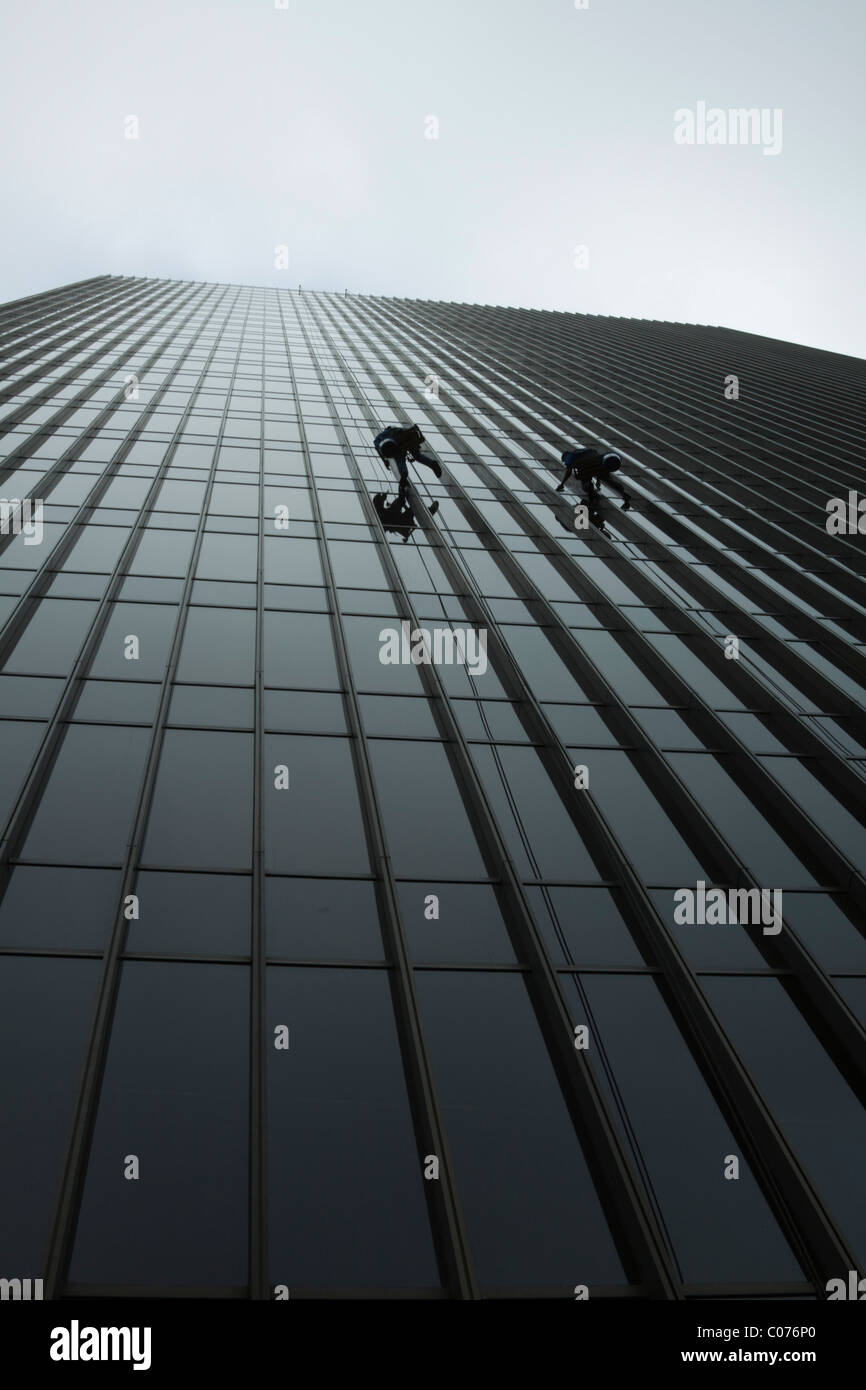 Cleaners scale the side of a building with ropes to clean the windows ...