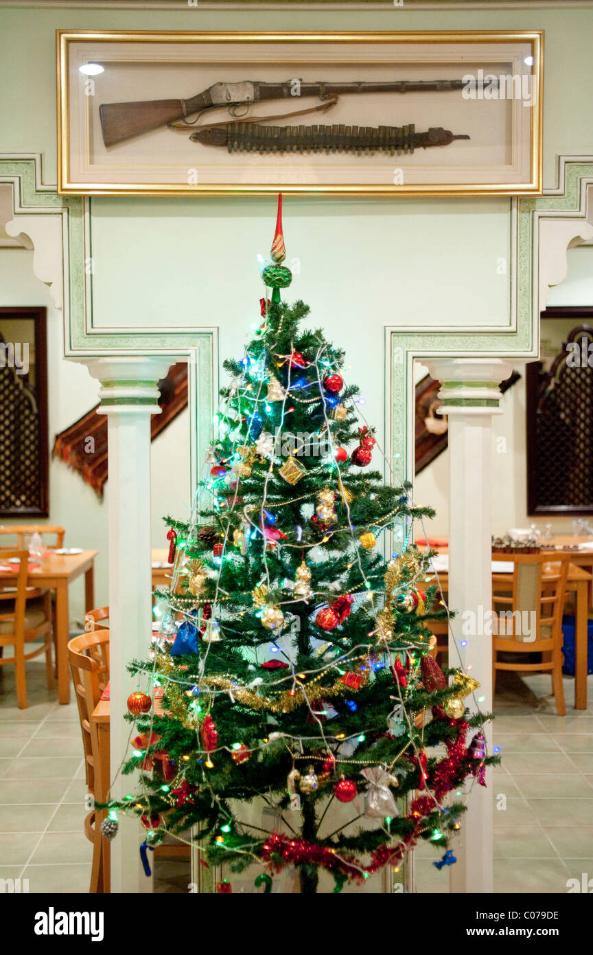 Rifle tree hi-res stock photography and images - Alamy