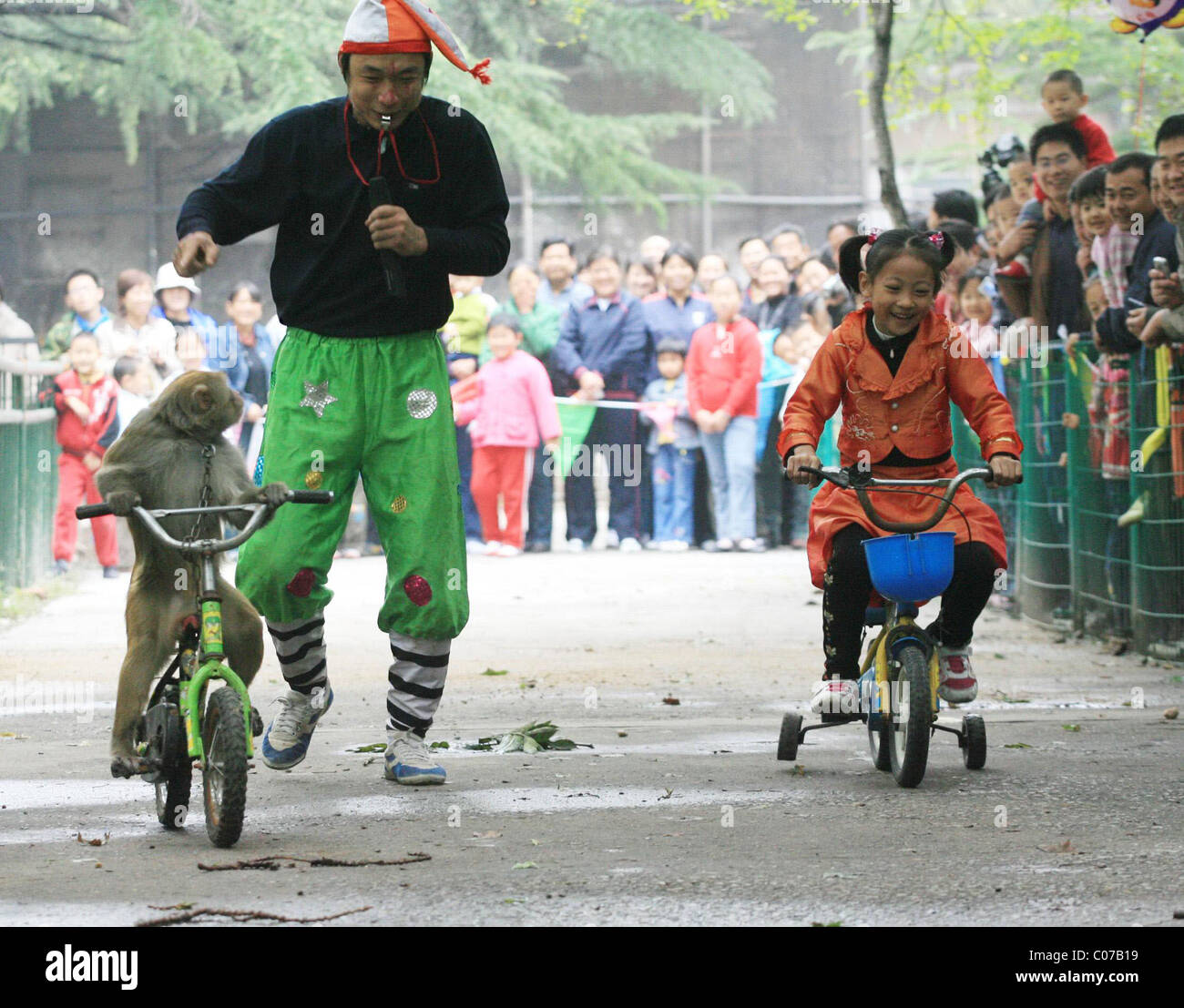ANIMAL ?SPORTS DAY? This cruel ?animal sports day? is still common ...