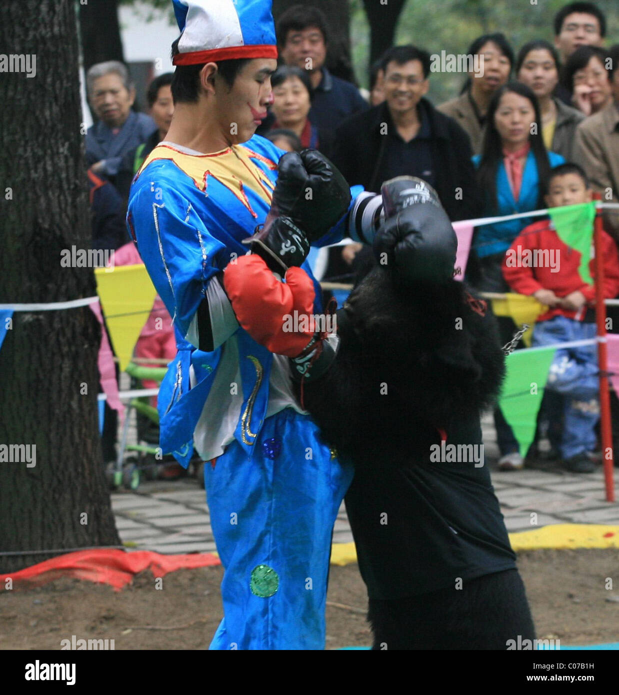 ANIMAL ?SPORTS DAY? This cruel ?animal sports day? is still common ...