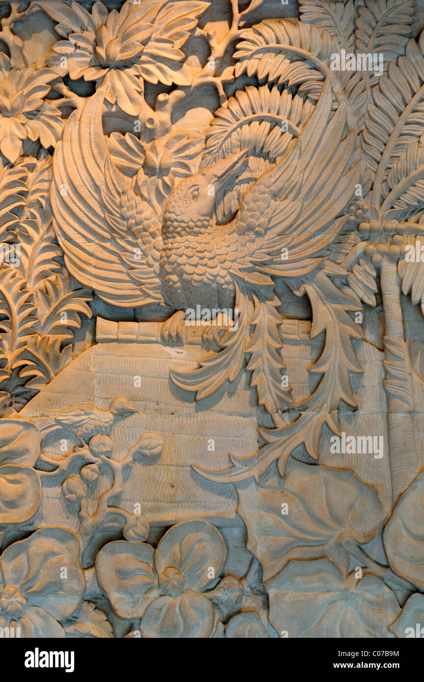 Javan hawk eagle garuda hi-res stock photography and images - Alamy