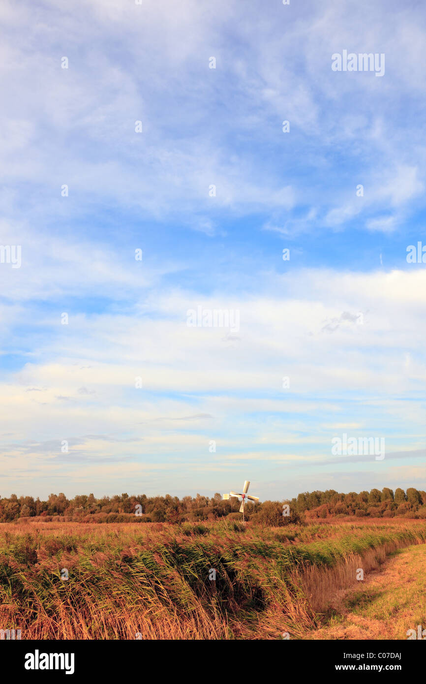 Yellow field of grass with windmill under blue cloudy sky Stock Photo ...