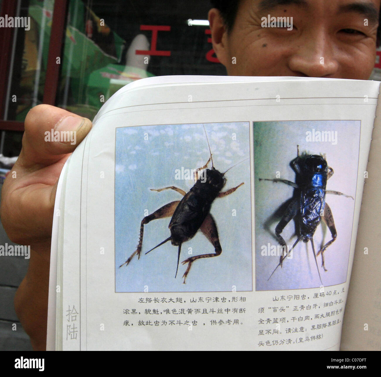 CRICKET BATTLE Hundreds of insect vendors in Beijing set up stall to ...