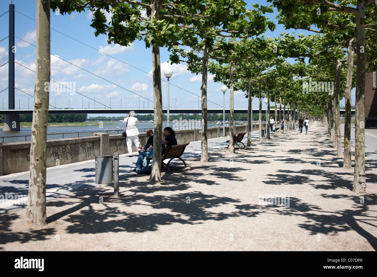 Rhine promenade, Duesseldorf, North Rhine-Westphalia, Germany, Europe ...