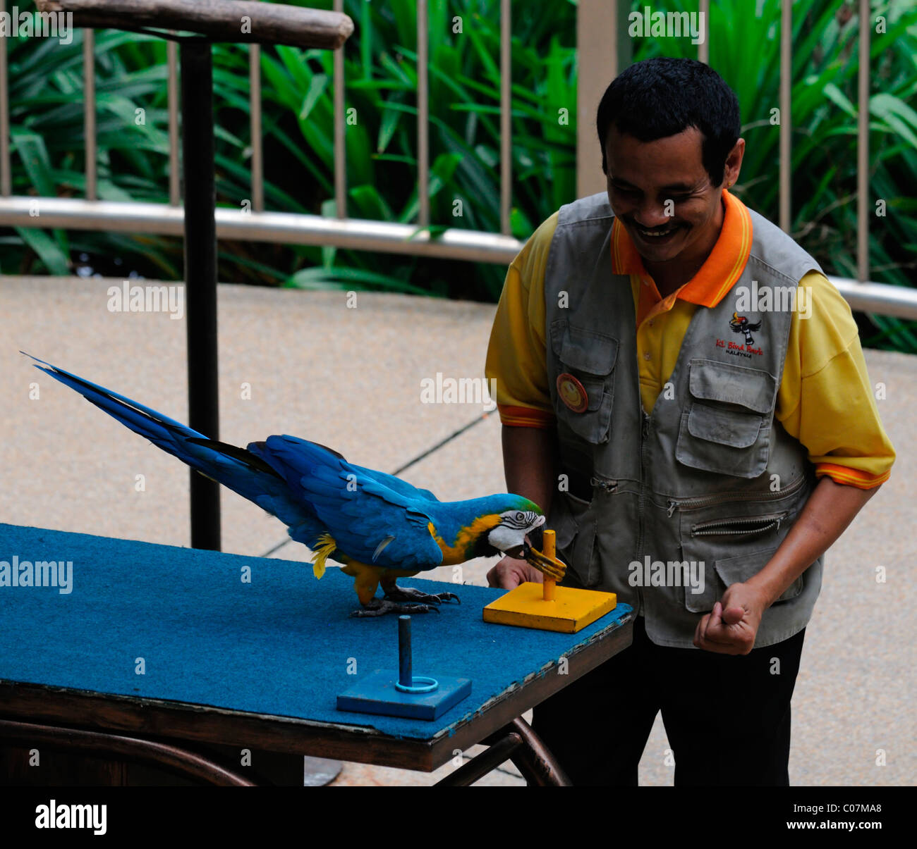 parakeet doing tricks show kuala lumpur KL bird park aviary malaysia ...