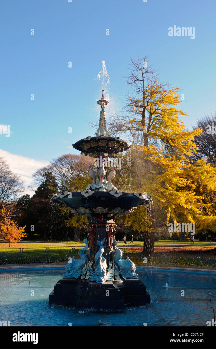 peacock fountain beech tree autumn christchurch botanic botanical ...