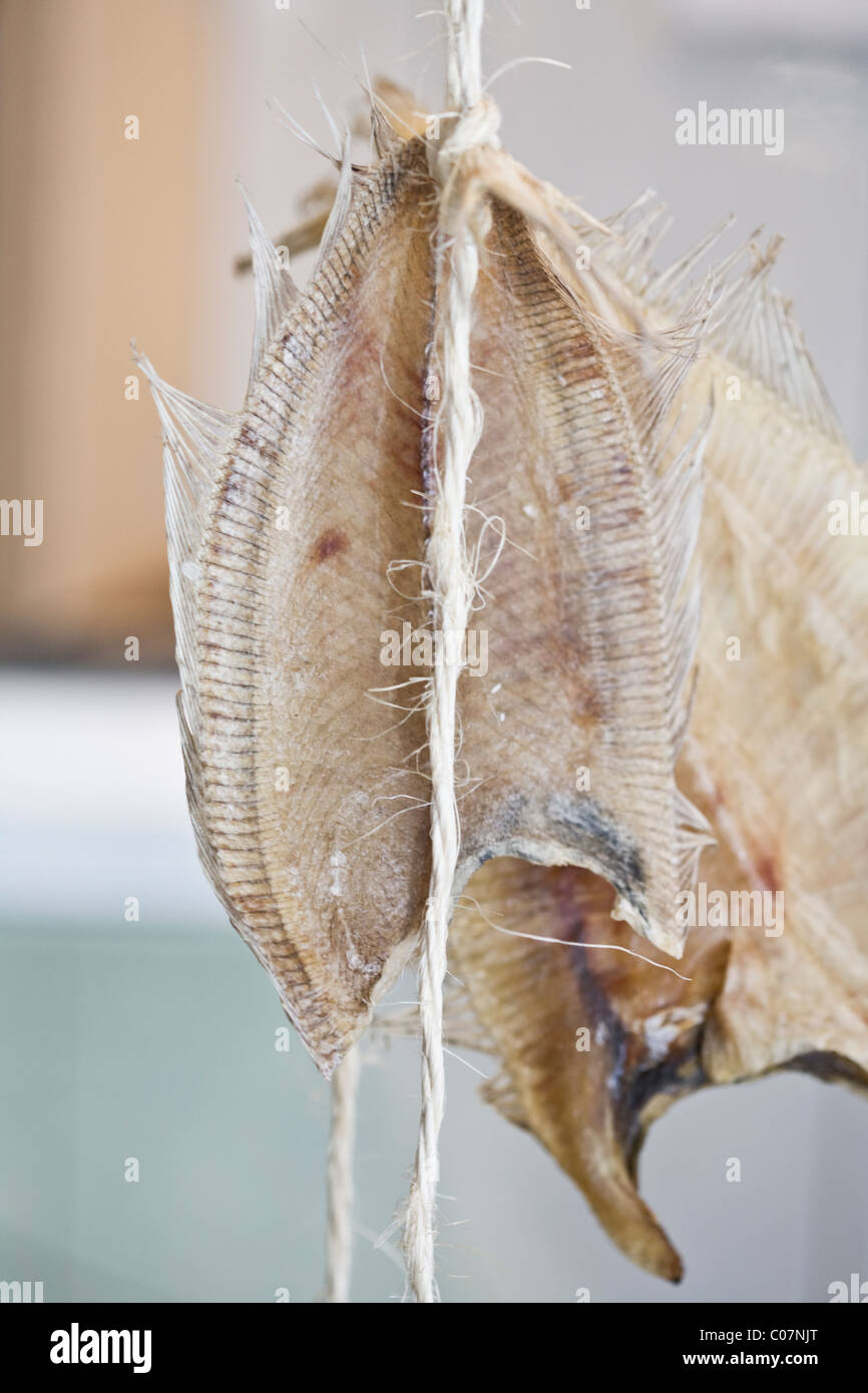 Fish in shop window hi-res stock photography and images - Alamy