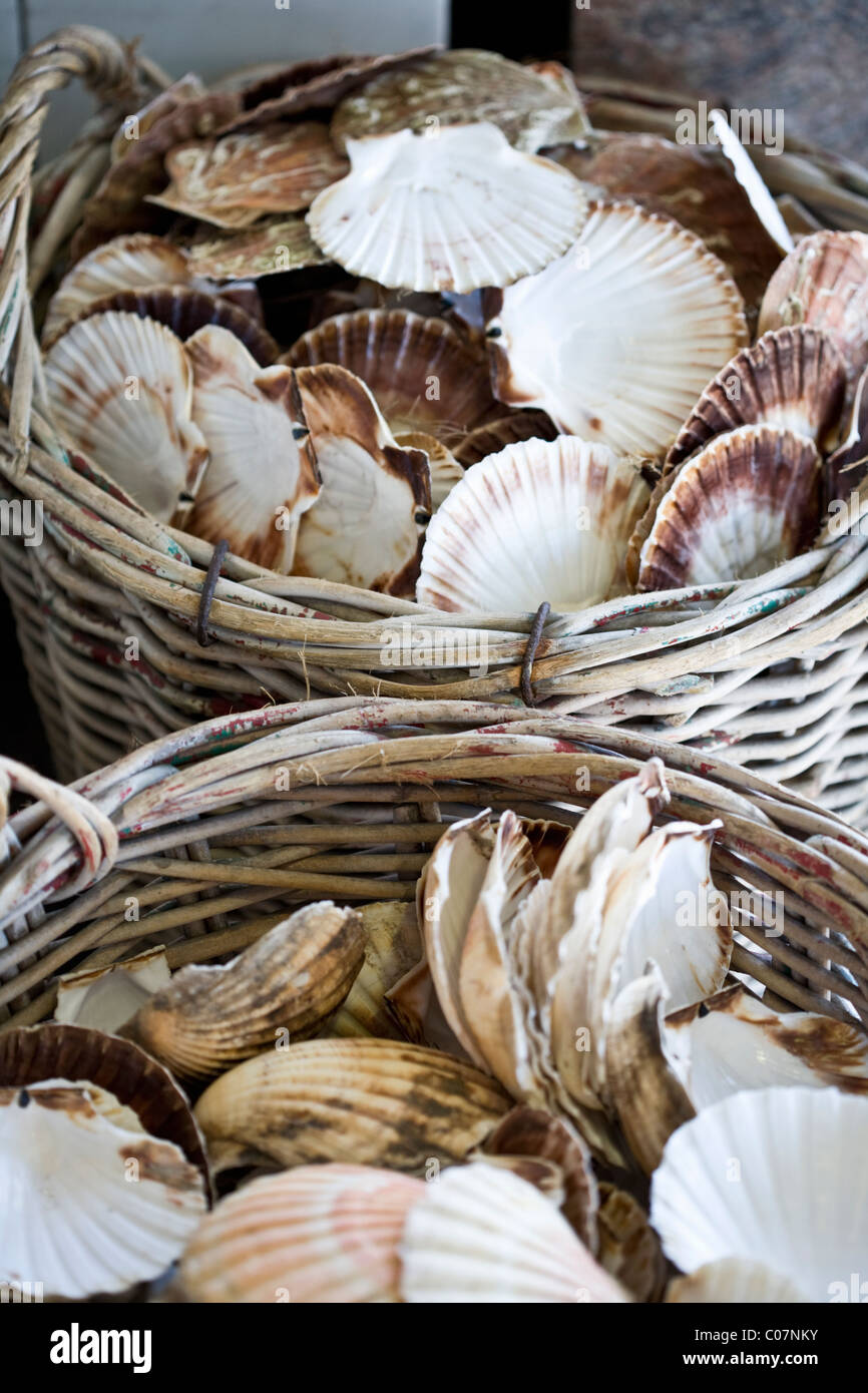Belguim a hi-res stock photography and images - Alamy
