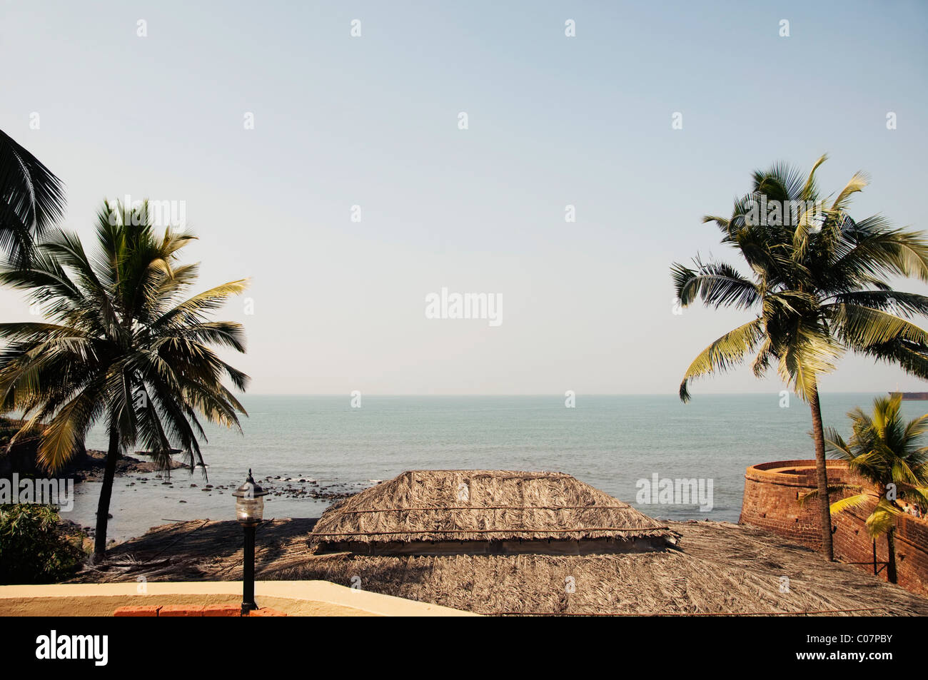 India palm trees hi-res stock photography and images - Alamy