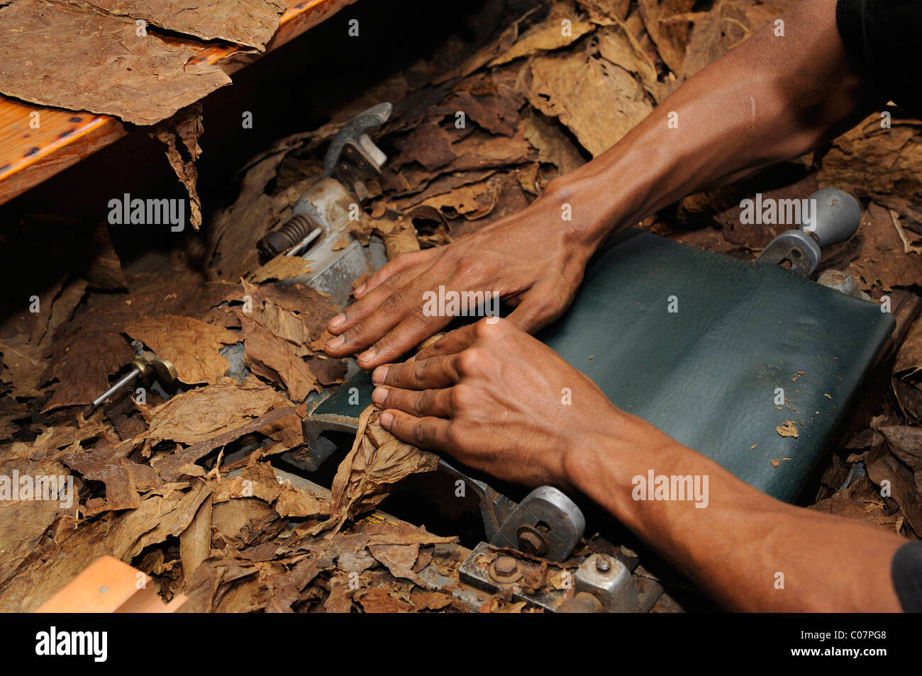 Cigar making machine hi-res stock photography and images - Alamy