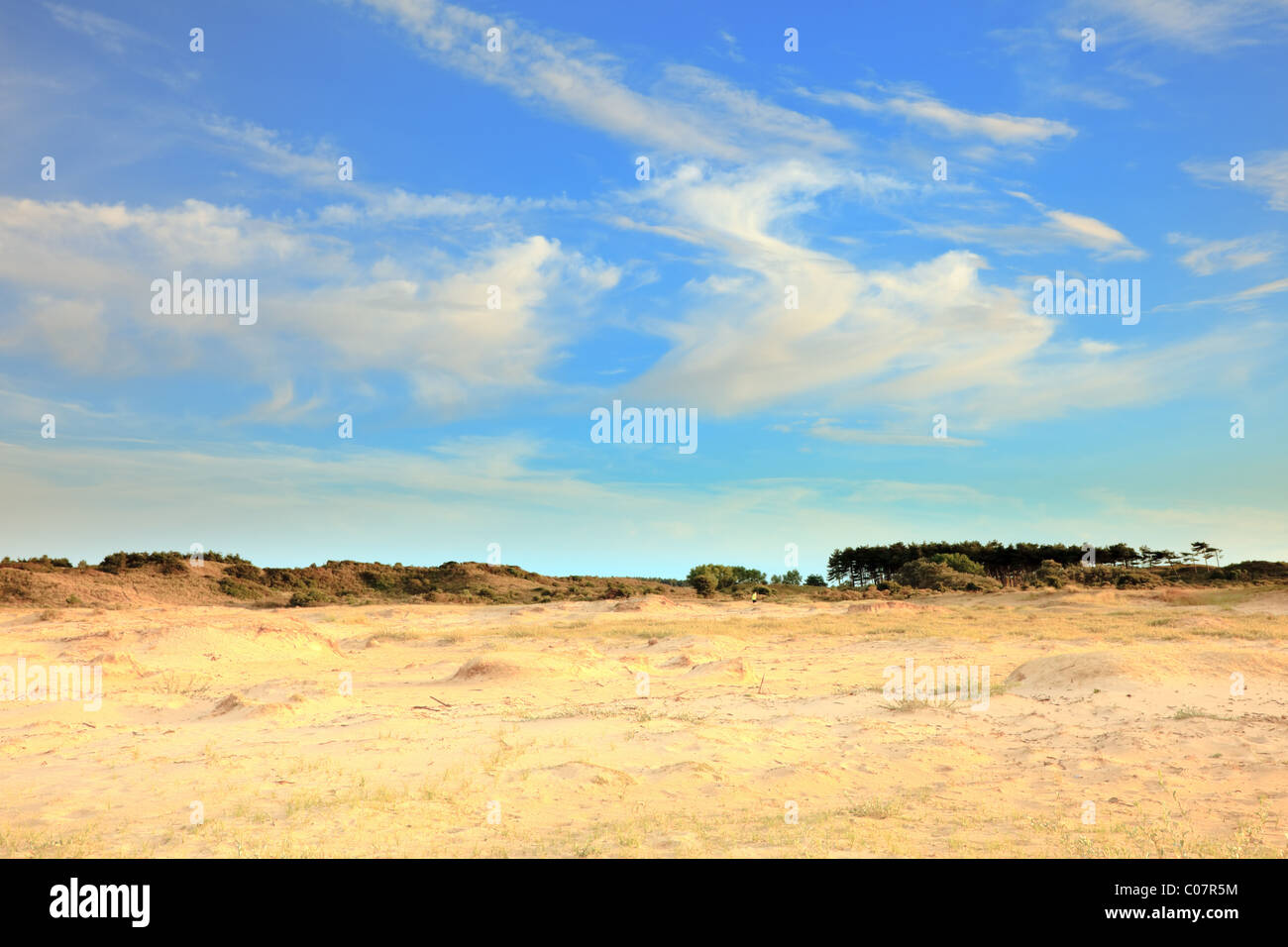 Landscape of sand dunes with vegetation at sunset Stock Photo - Alamy