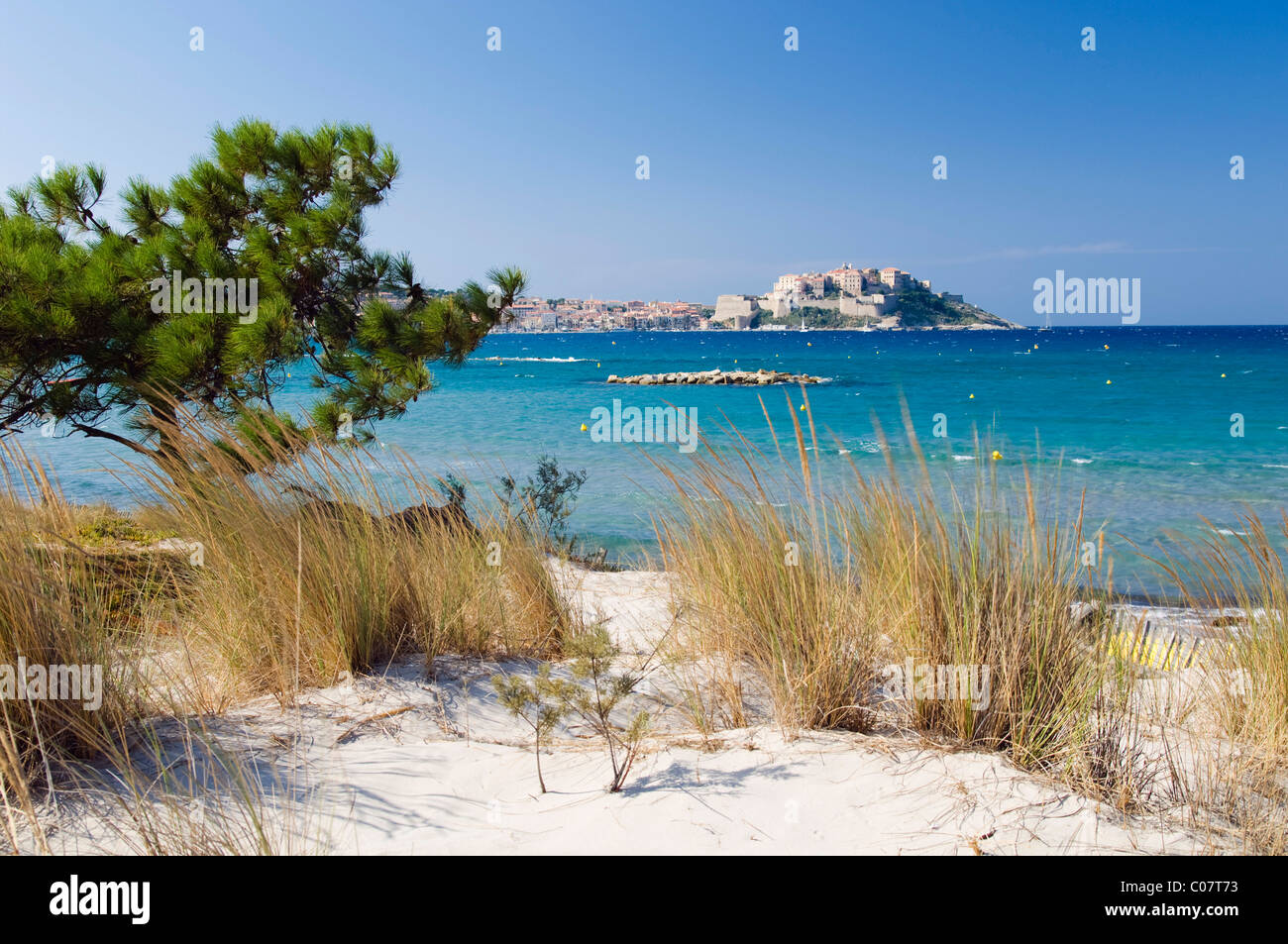 Sandy beach with view to the citadel of Calvi, Balagne, Corsica, France ...