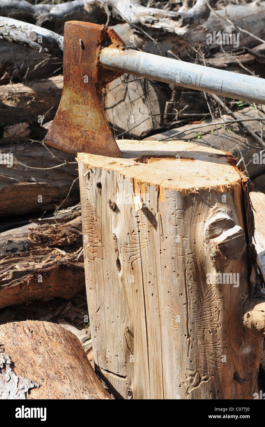 Split Bill High Resolution Stock Photography and Images - Alamy