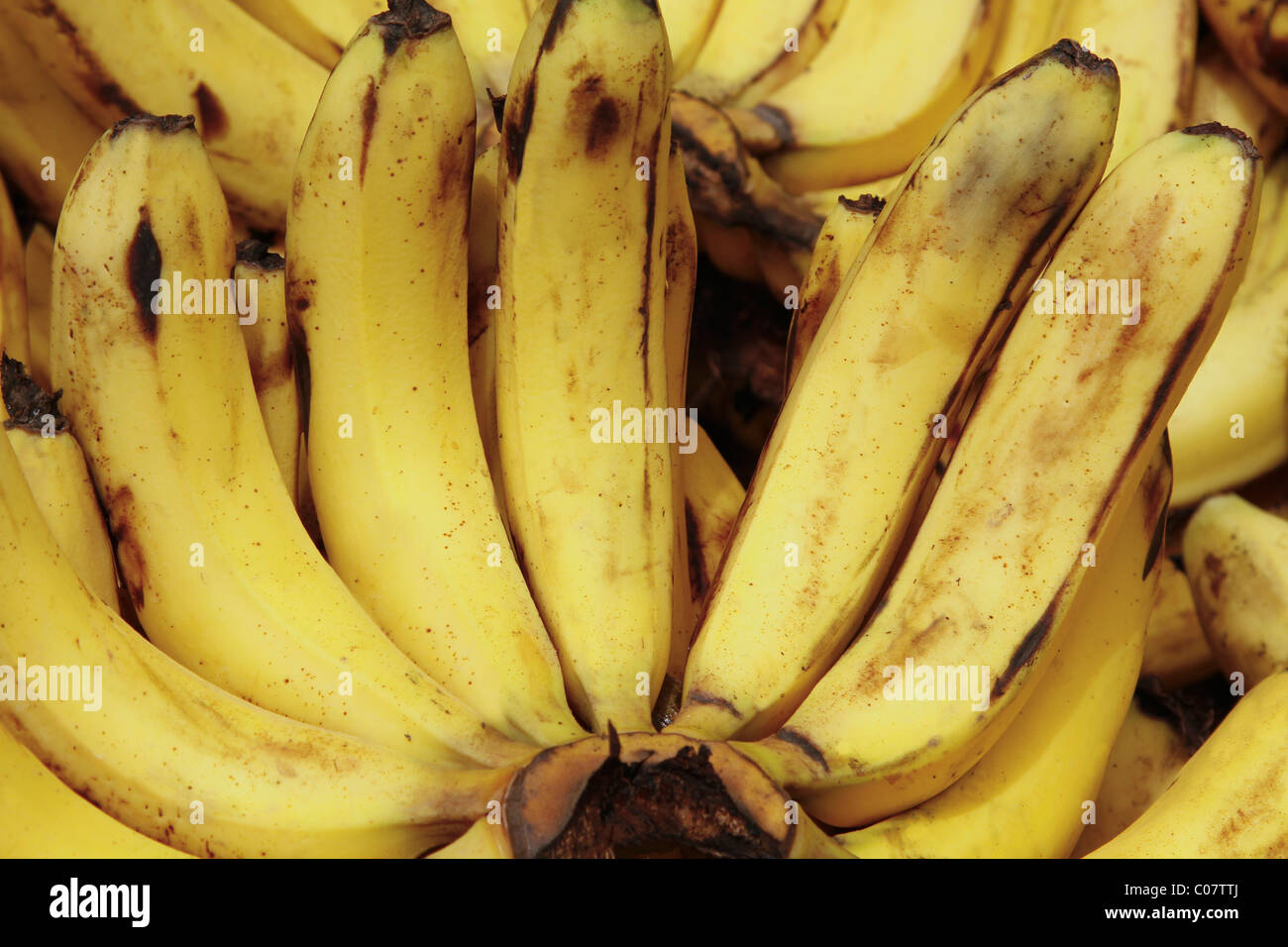 Close-up of bananas Stock Photo - Alamy