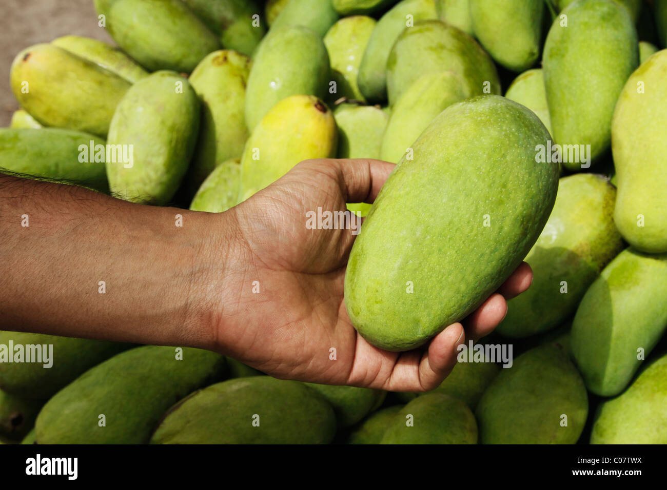Hand mango hi-res stock photography and images - Alamy