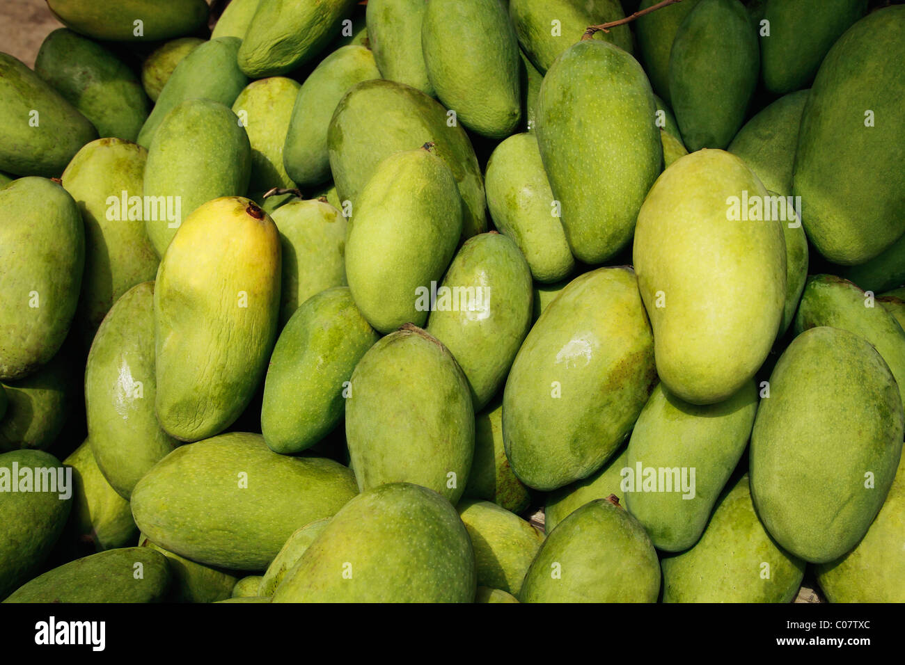 Close-up of mangoes Stock Photo - Alamy