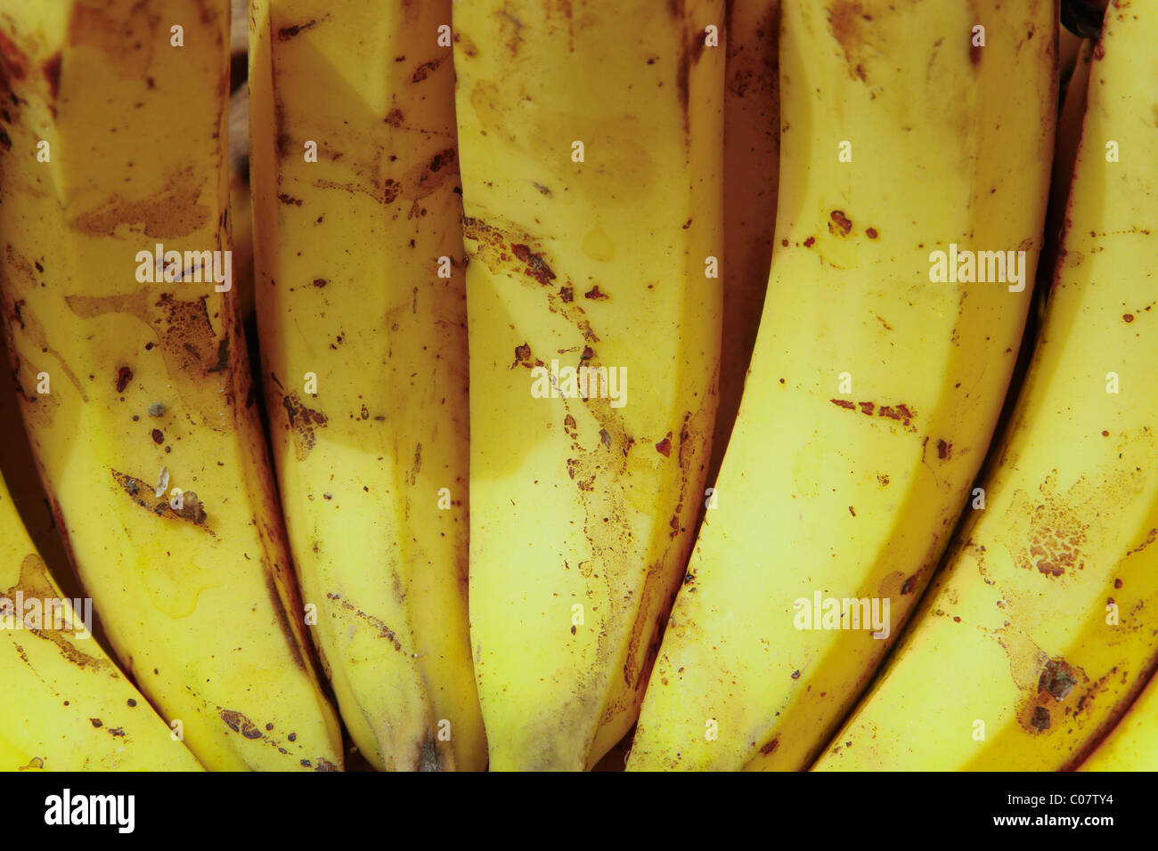 Close-up of bananas Stock Photo - Alamy