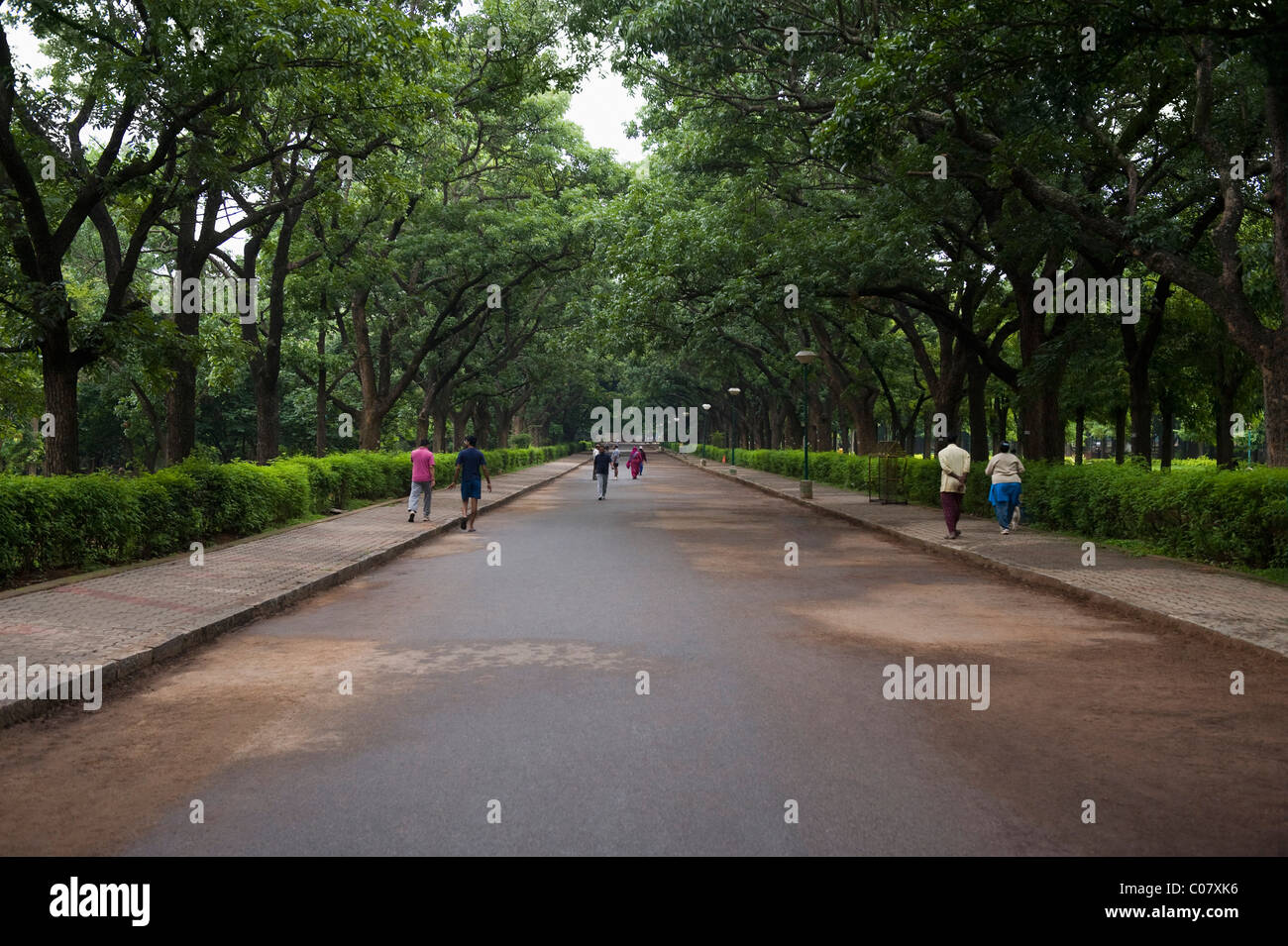 Cubbon park bangalore hi-res stock photography and images - Alamy