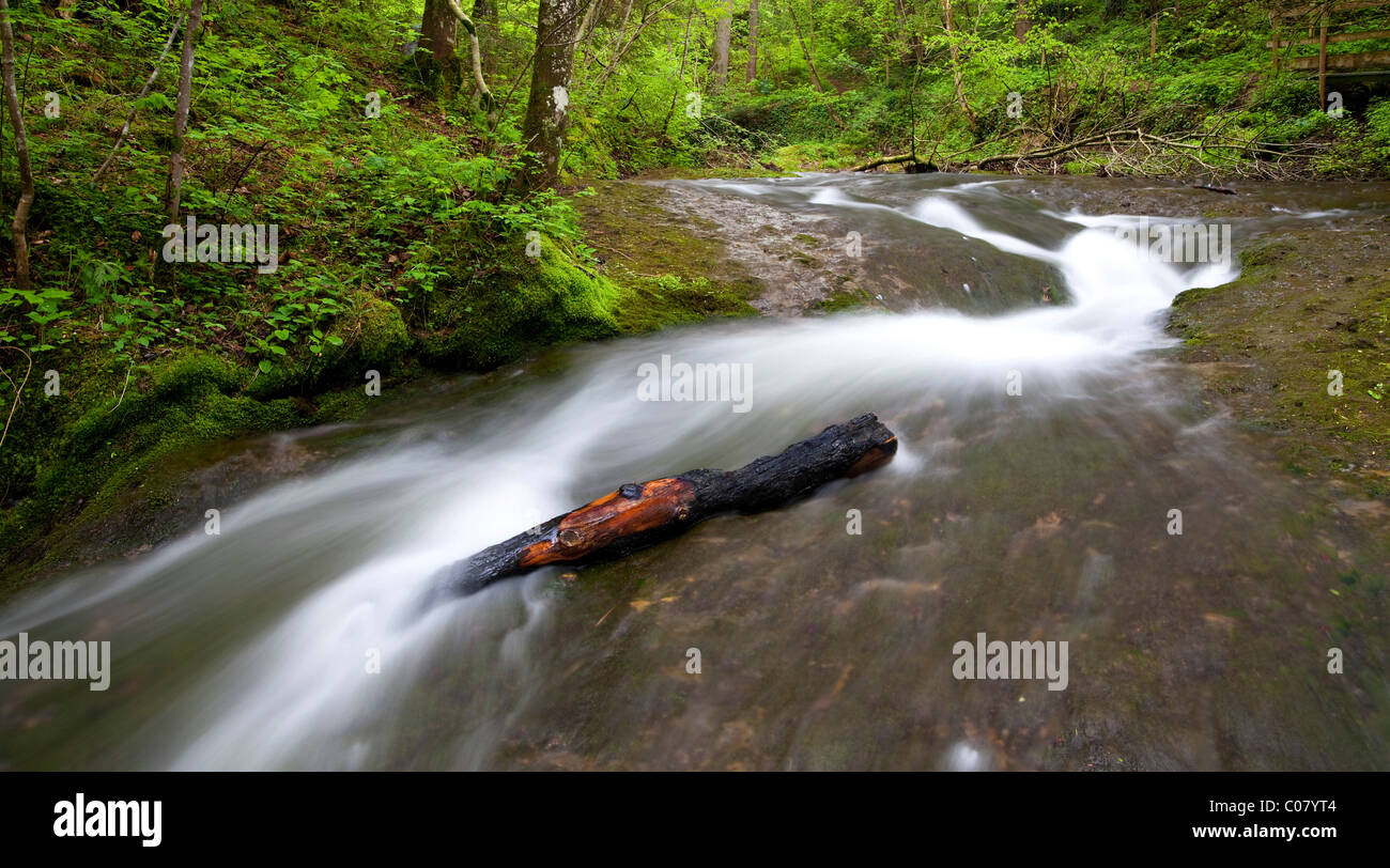 At the Scheidegg waterfalls near Pfaender Mountain in the Allgaeu ...