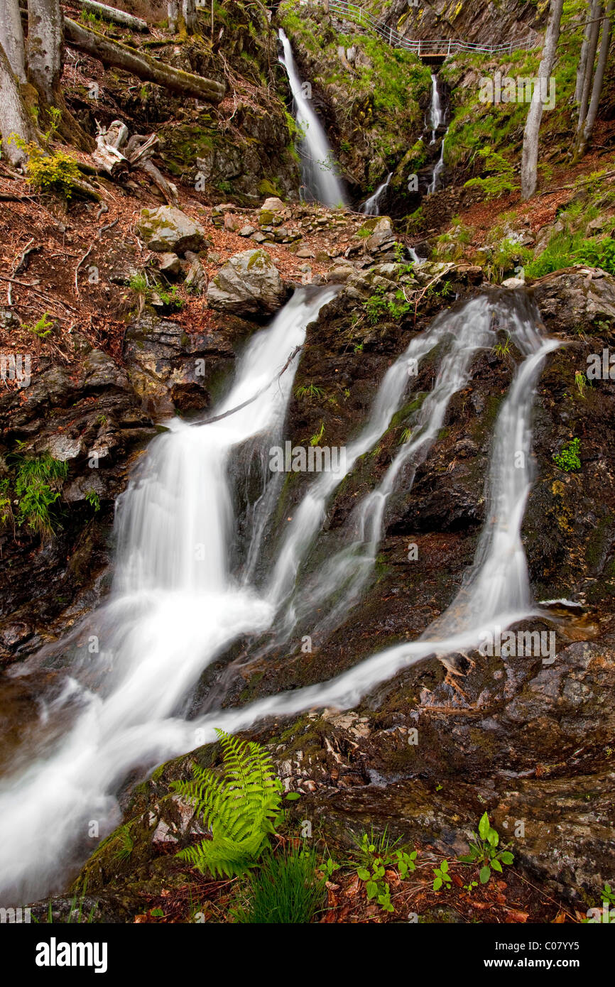 Fahl waterfall in a beech forest at Feldberg Mountain in the Black ...