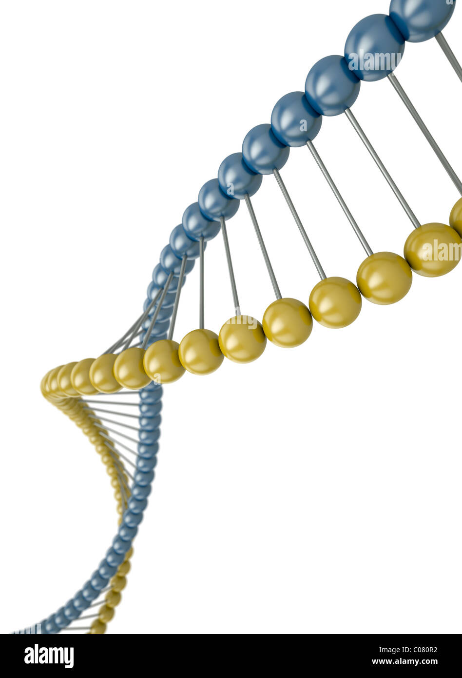Double stranded dna hi-res stock photography and images - Alamy
