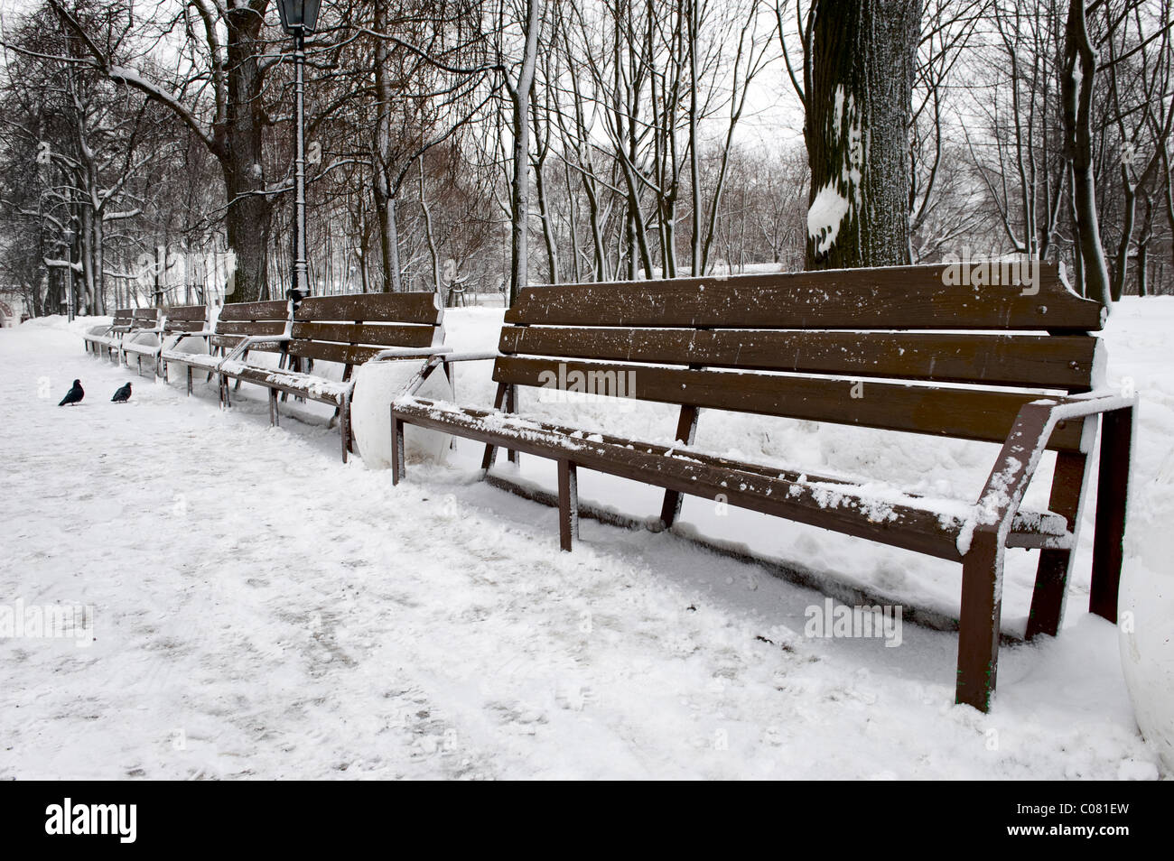 Empty bench nature hi-res stock photography and images - Alamy