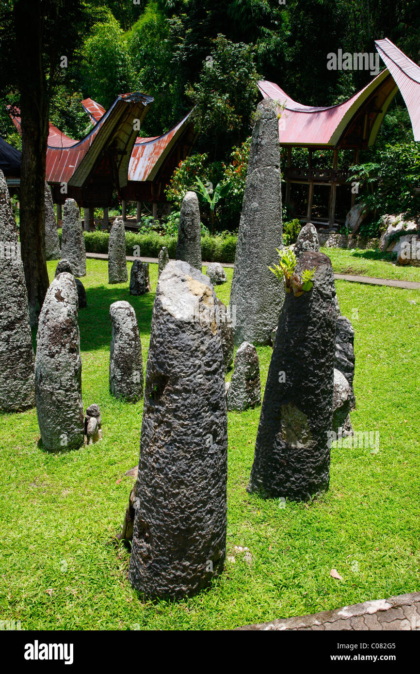Megalithic complex, Kalimbuang Bori, Toraja culture, Sulawesi ...