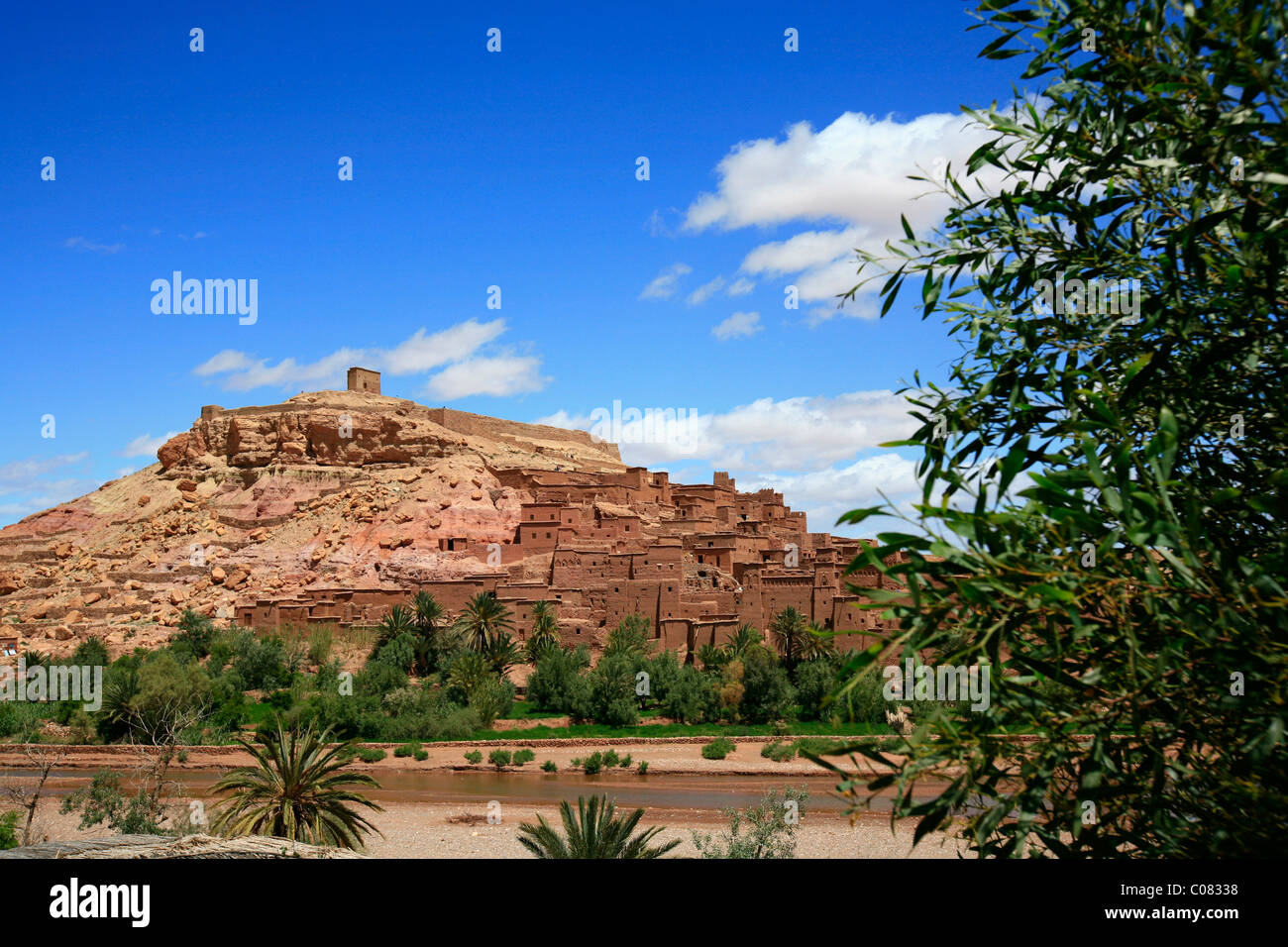 Old berbers hi-res stock photography and images - Alamy