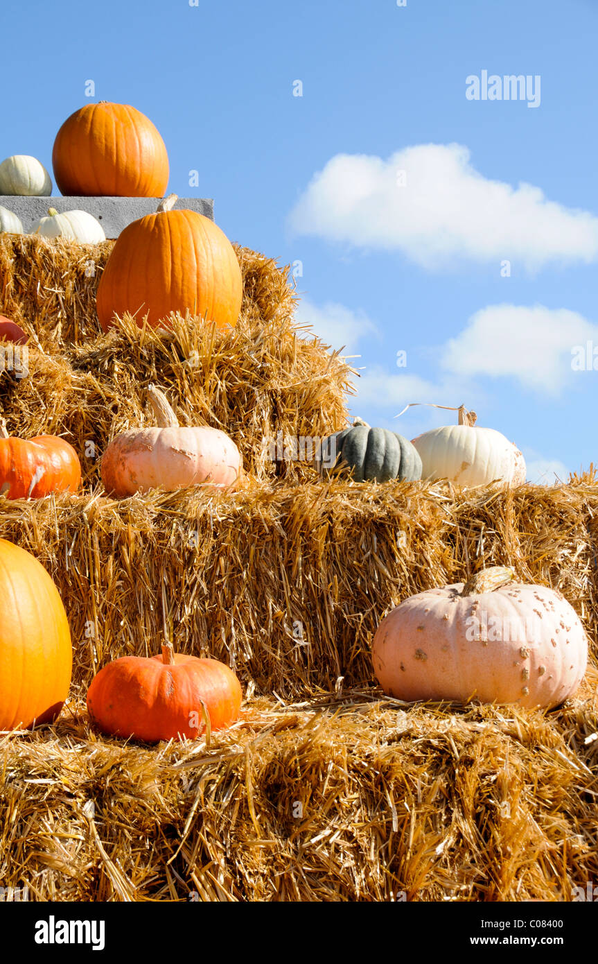Tiered pumpkins hi-res stock photography and images - Alamy