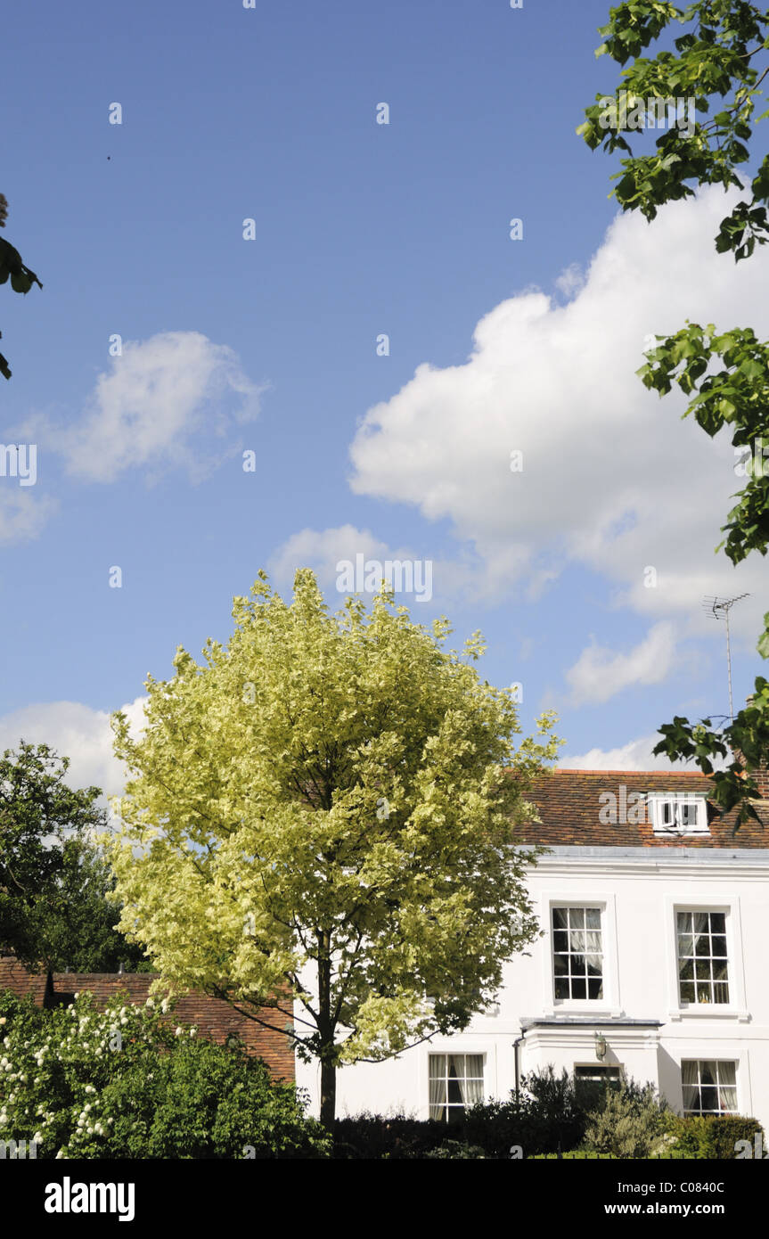 Datchworth, hertfordshire hi-res stock photography and images - Alamy