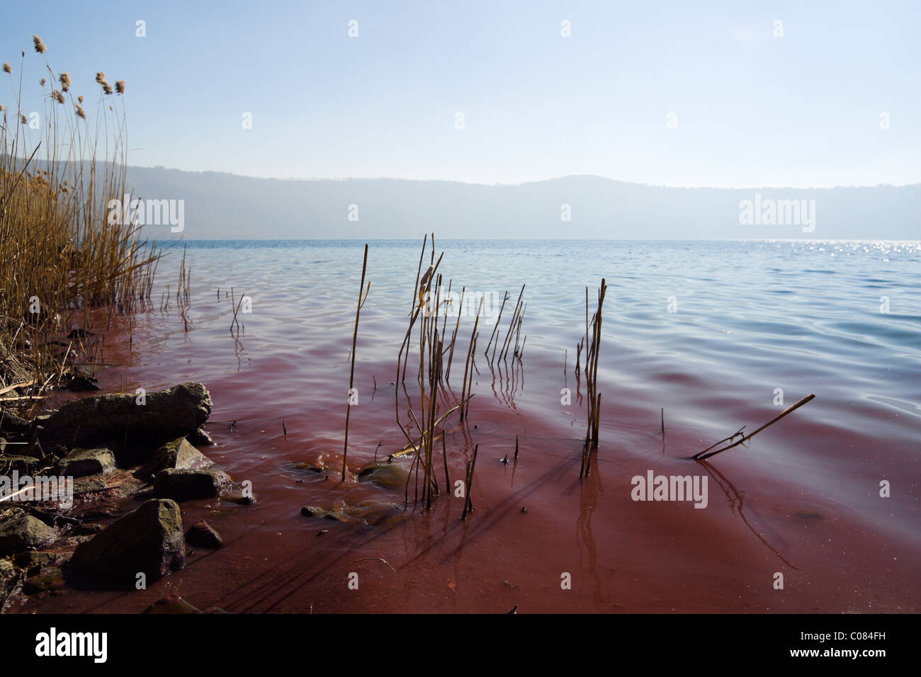 Lake Albano with red water, due to Planktothrix rubescens, winter ...
