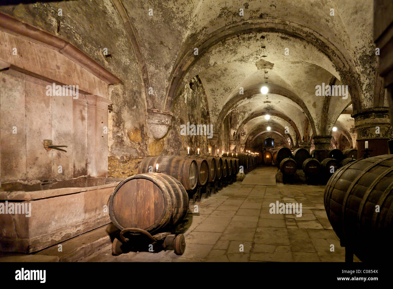 Wine cellar at the Kloster Eberbach Abbey, Eltville am Rhein, Rheingau ...