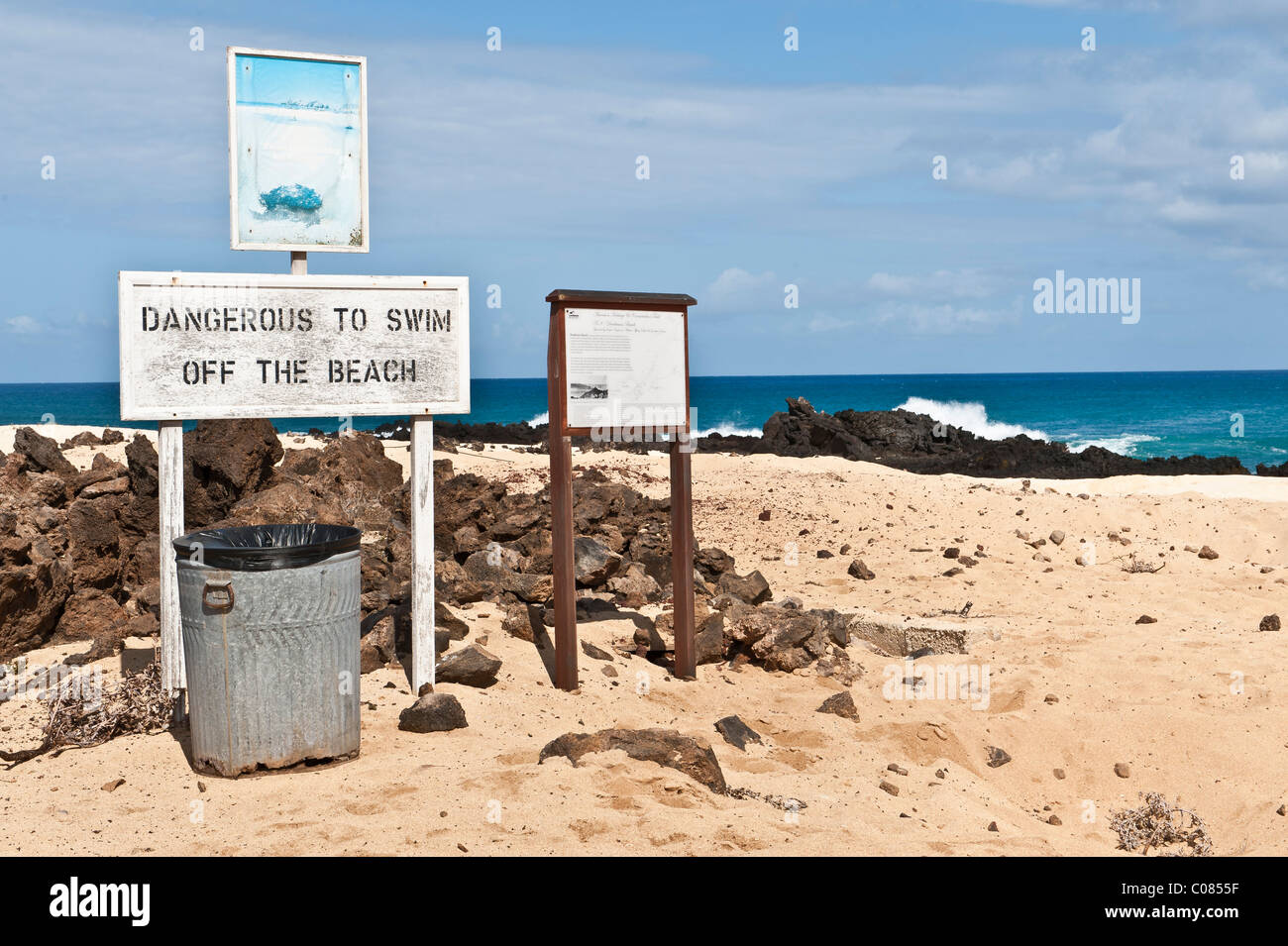 green sea turtle nesting area on beach Ascension Island South Atlantic ...