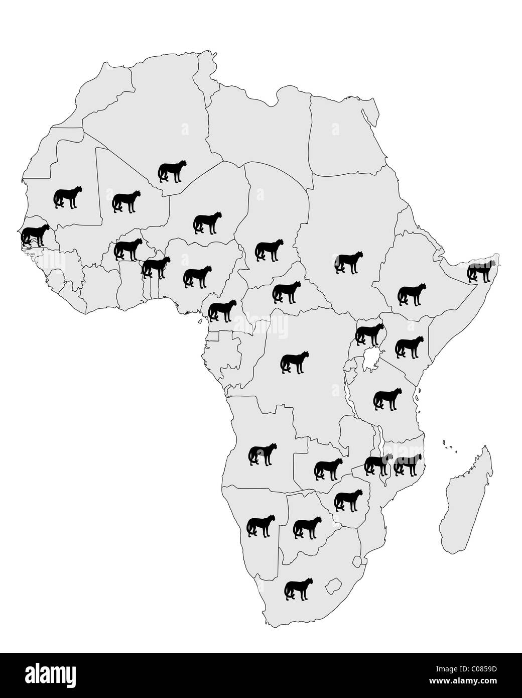 Cheetah habitat Cut Out Stock Images & Pictures - Alamy
