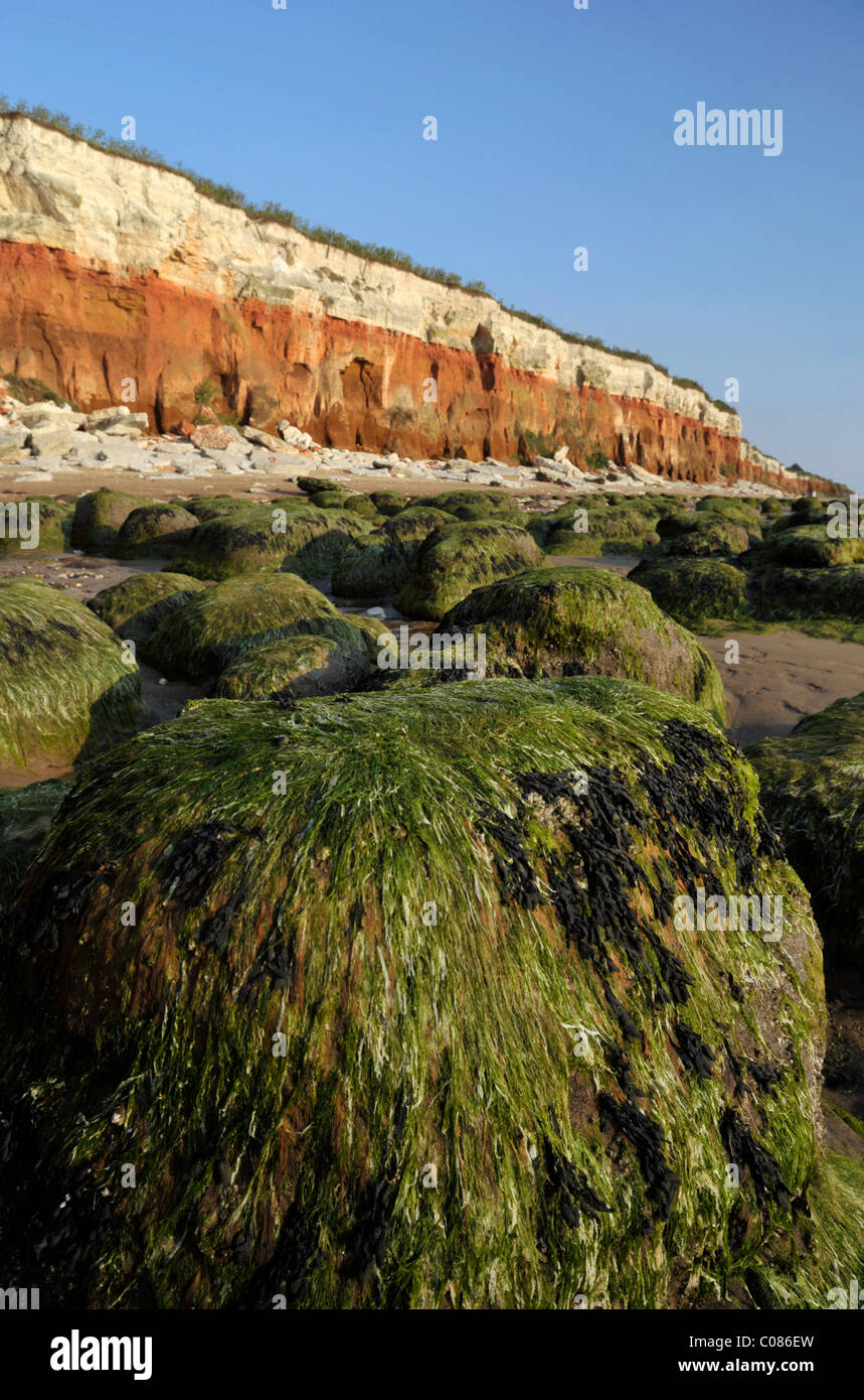 Sandstone outcrops along the beach beside the cliffs at Hunstanton in ...