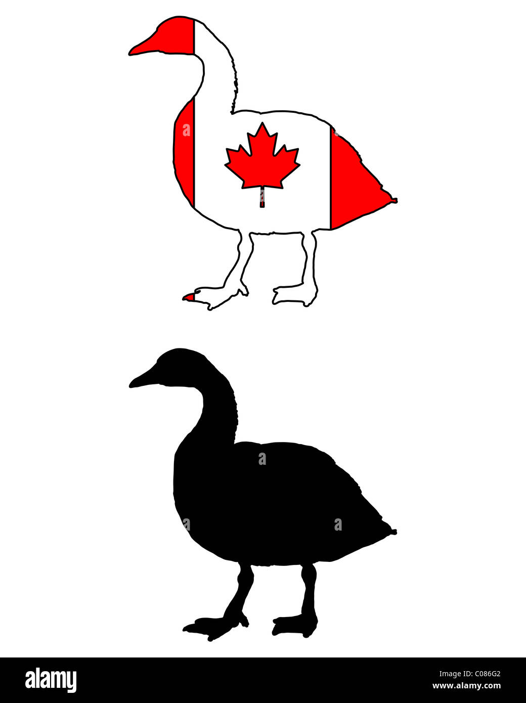 Canada goose flag Stock Photo - Alamy