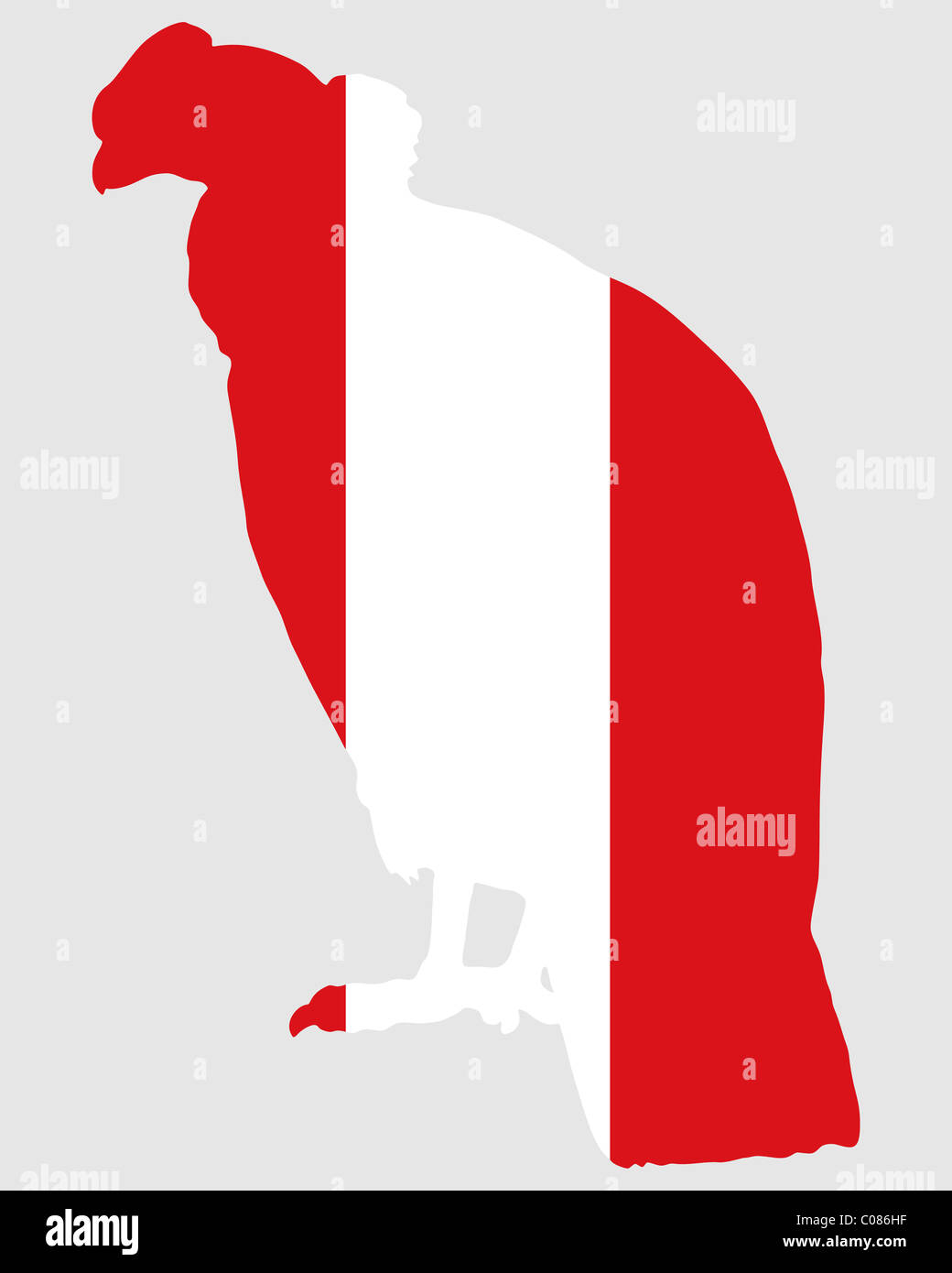 Andean Condor Peru Stock Photo - Alamy