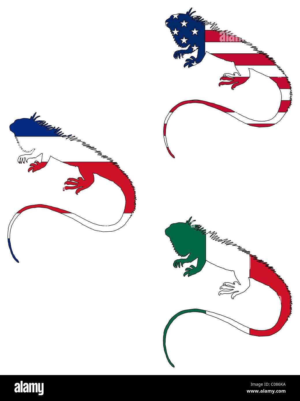 Iguana iguana south america Cut Out Stock Images & Pictures - Alamy