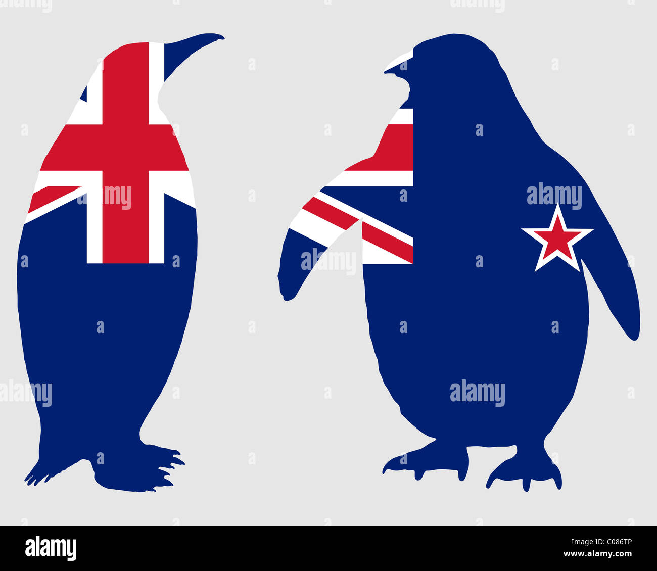 Penguin New Zealand Stock Photo - Alamy