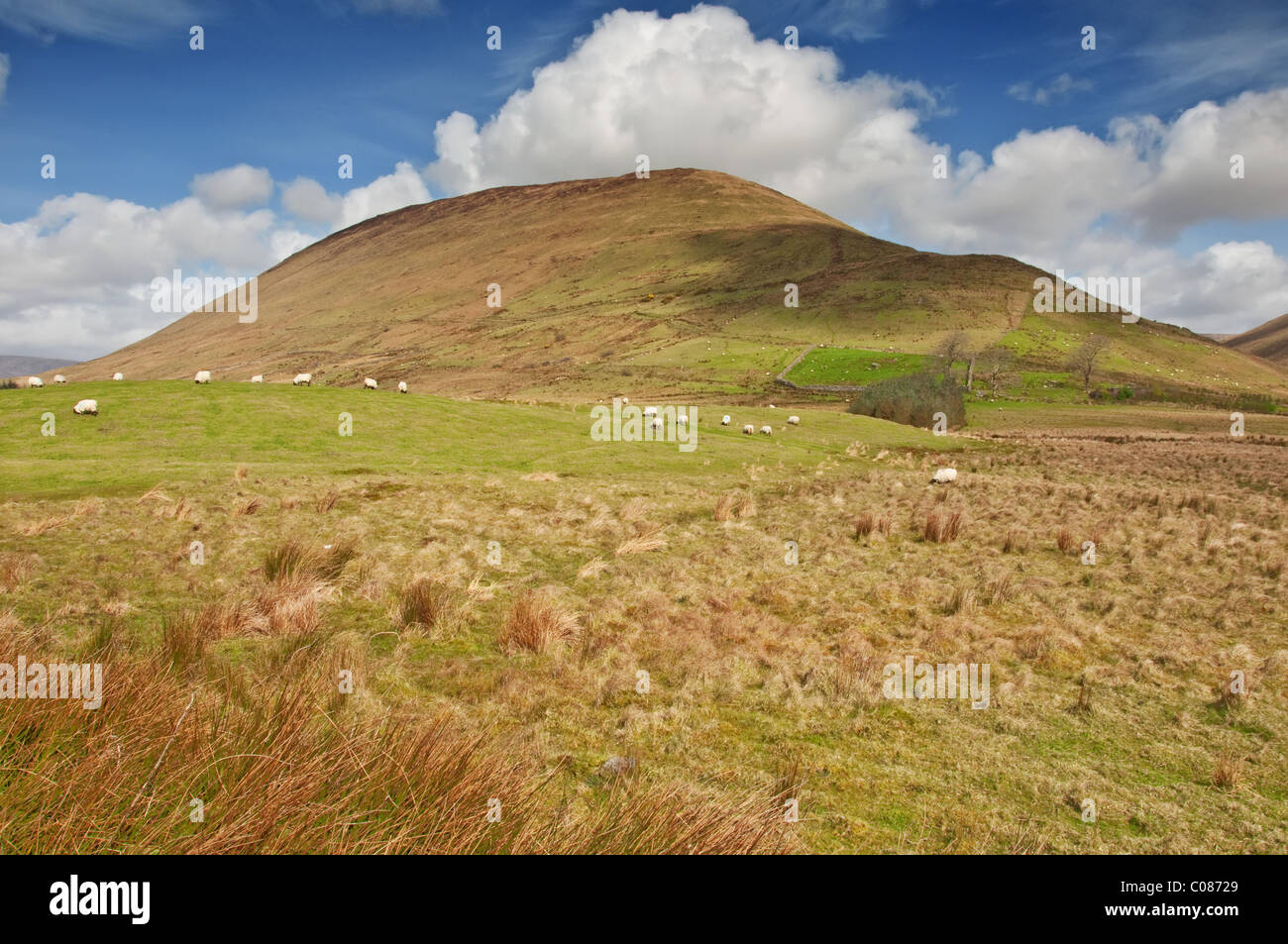 Photo Connemara Rural irish Photography Landscape from Ireland Stock ...