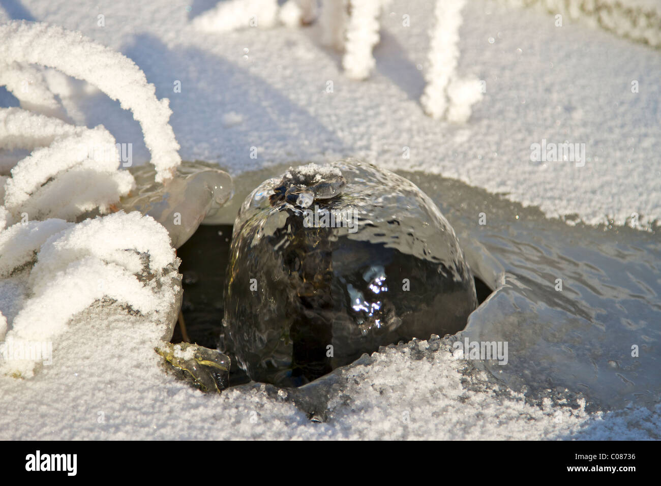Garden pond winter hi-res stock photography and images - Alamy